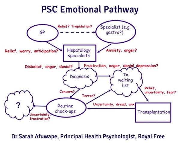 The Challenges of Living with PSC – PSC Support
