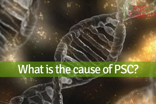 All About PSC - PSC Support