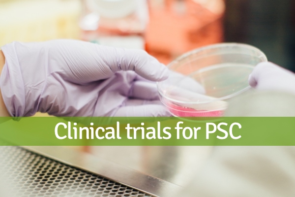 All About PSC - PSC Support